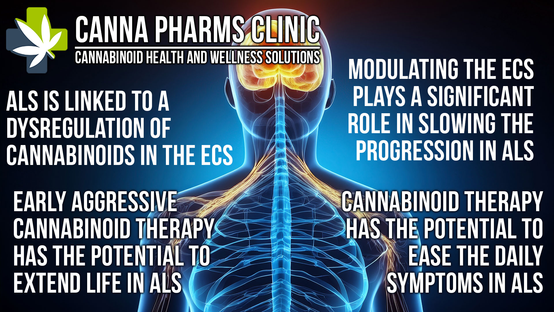 The Endocannabinoid System's Role in Modulating Amyotrophic Lateral ...